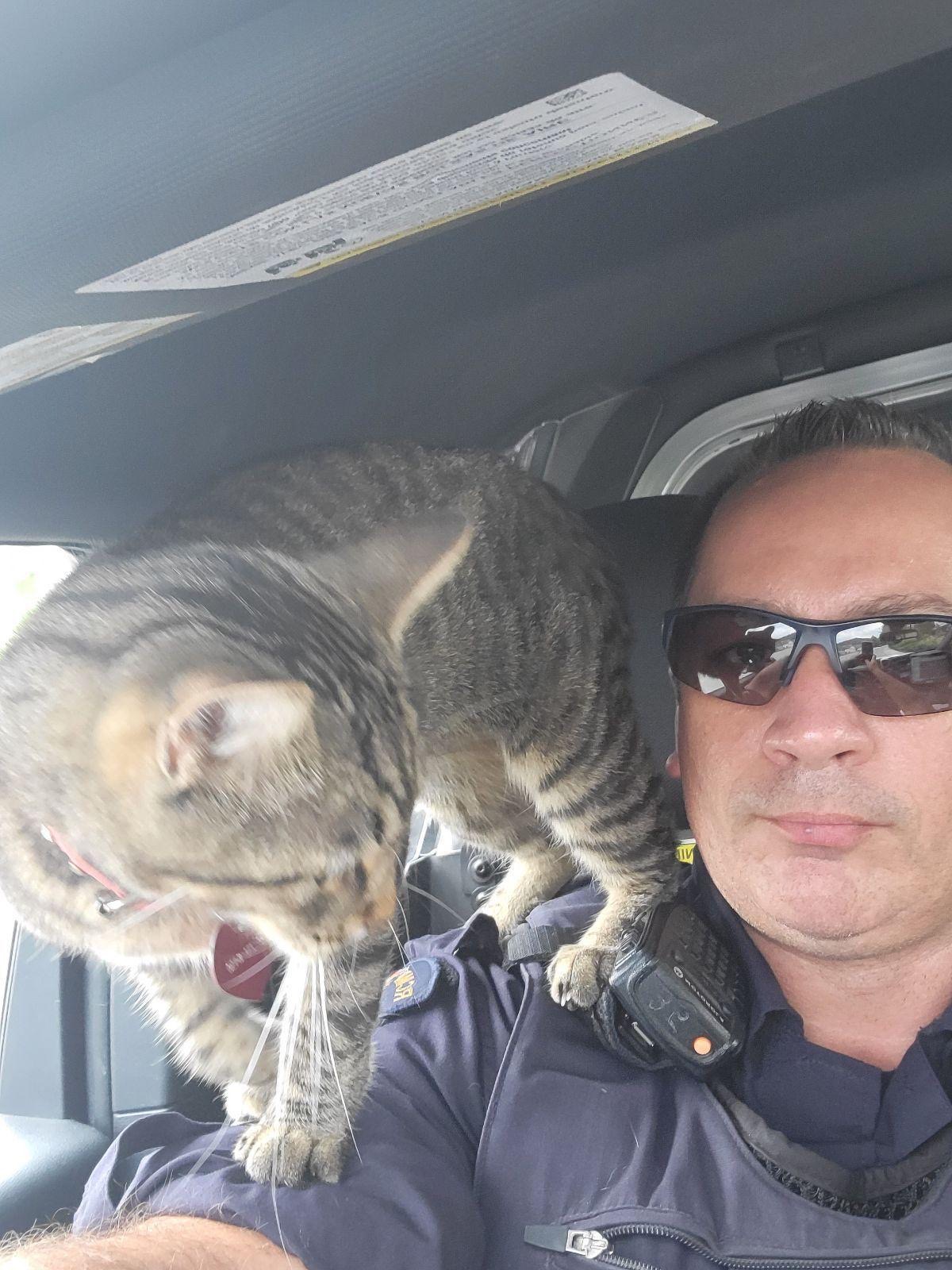 Beyond boundaries: RCMP officers answer the call across provinces ...