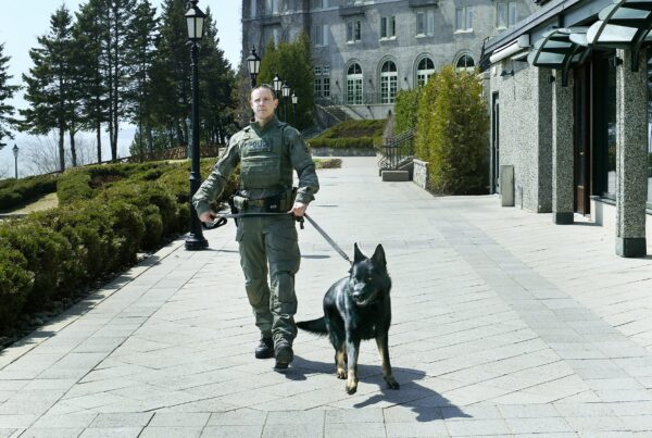 Pups to Professional Protectors: The RCMP’s Police Dog Services - NPF-FPN