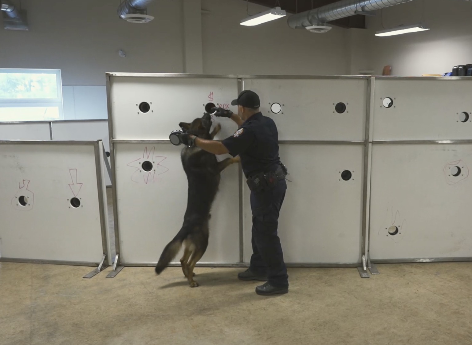 Pups to Professional Protectors: The RCMP’s Police Dog Services - NPF-FPN